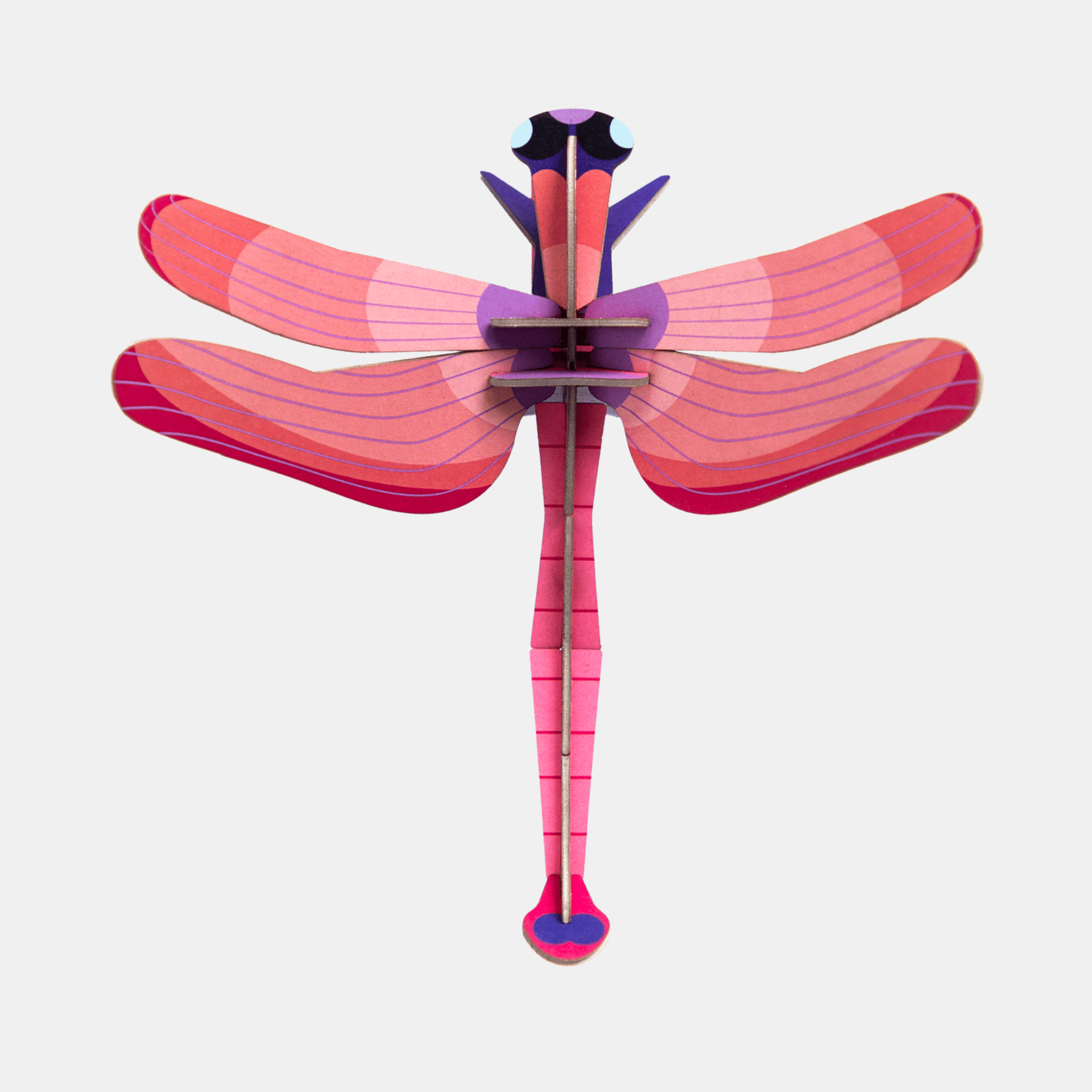 Wall Art Butterflies (B7) - Ruby Dragonfly | Studio Roof | Shut the Front Door
